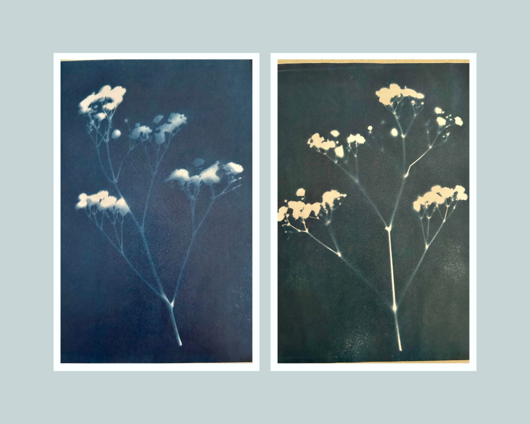 Cyanotype Prints: An Easy Photography Project - The Parent Social